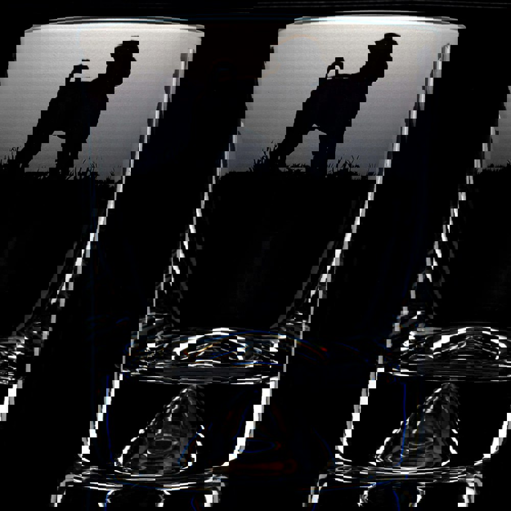 Glyptic Glass Art Schnauzer Dog Whiskey Tumbler Glass | Rackhams