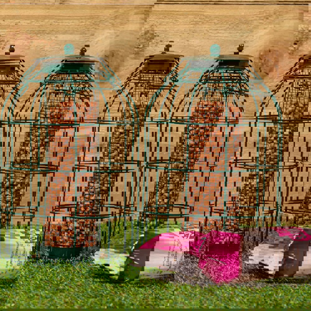 Samuel Alexander Pack of 2 Samuel Alexander Metal | Rackhams