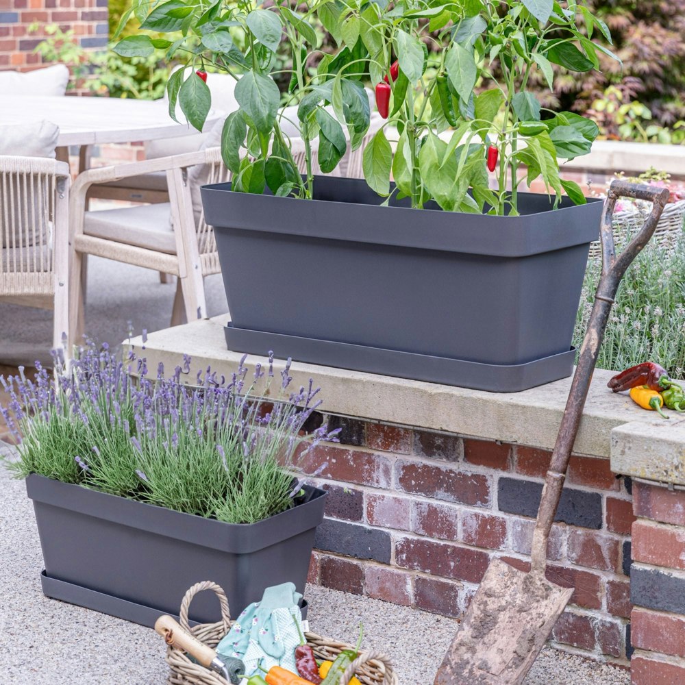 Ivyline Cleo Rectangle Flower Box With Wheels | Rackhams