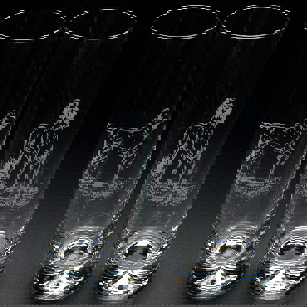 Glyptic Glass Art Hungarian Vizsla Dog Highball Glass | Rackhams