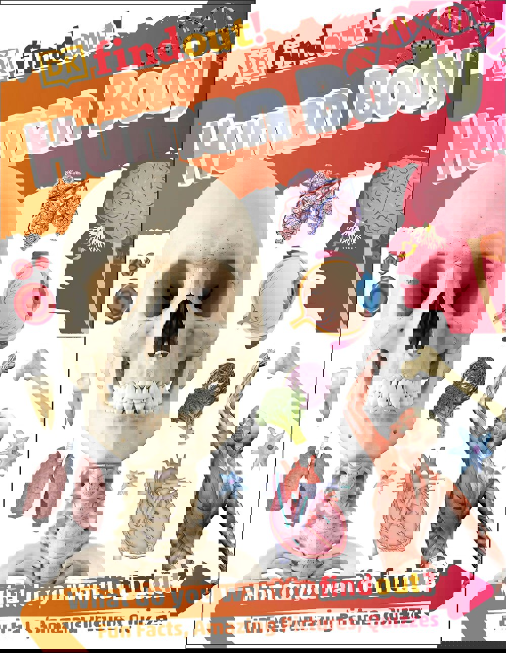 DKfindout Human Body | Rackhams