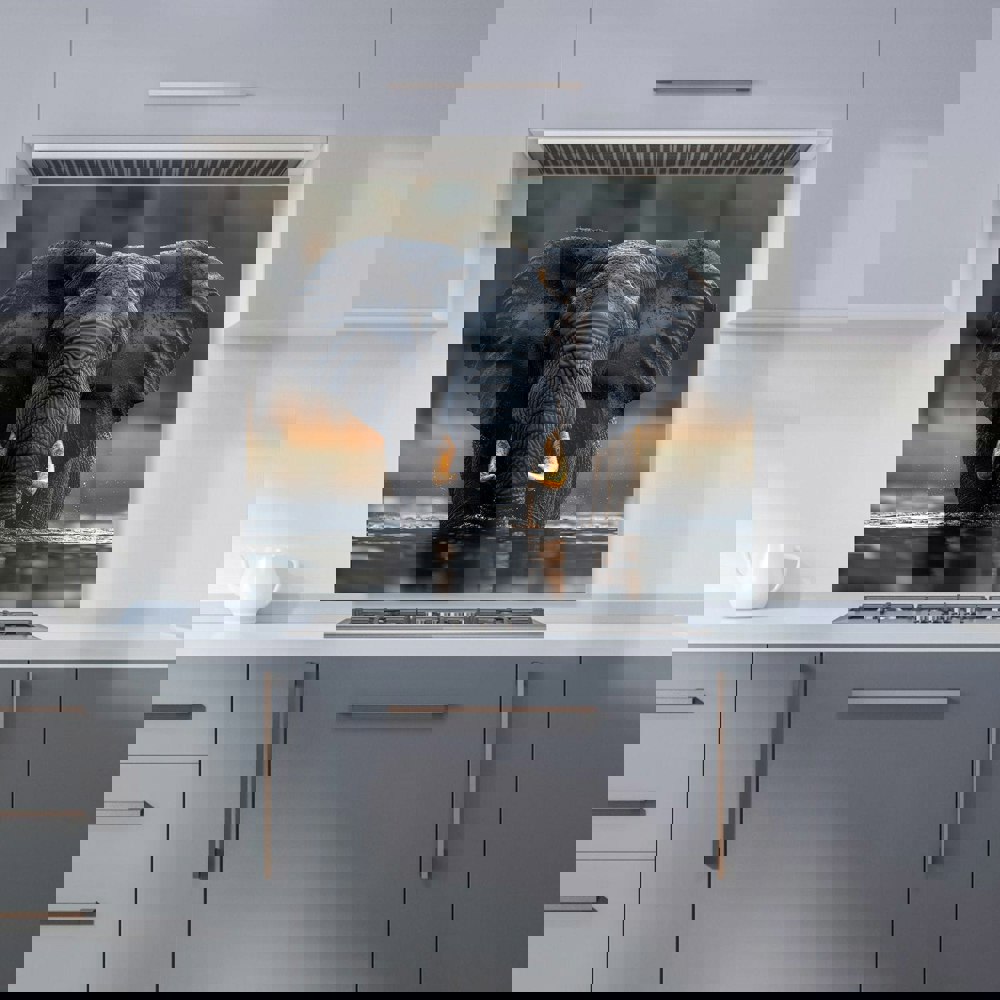 Warren Reed Elephant Glass Kitchen Splashback | Rackhams