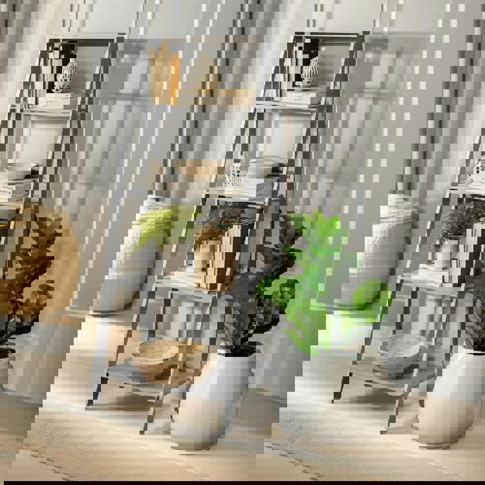 Rafaelo Mobilia 4 Tier Free Standing Ladder Shelf For | Rackhams