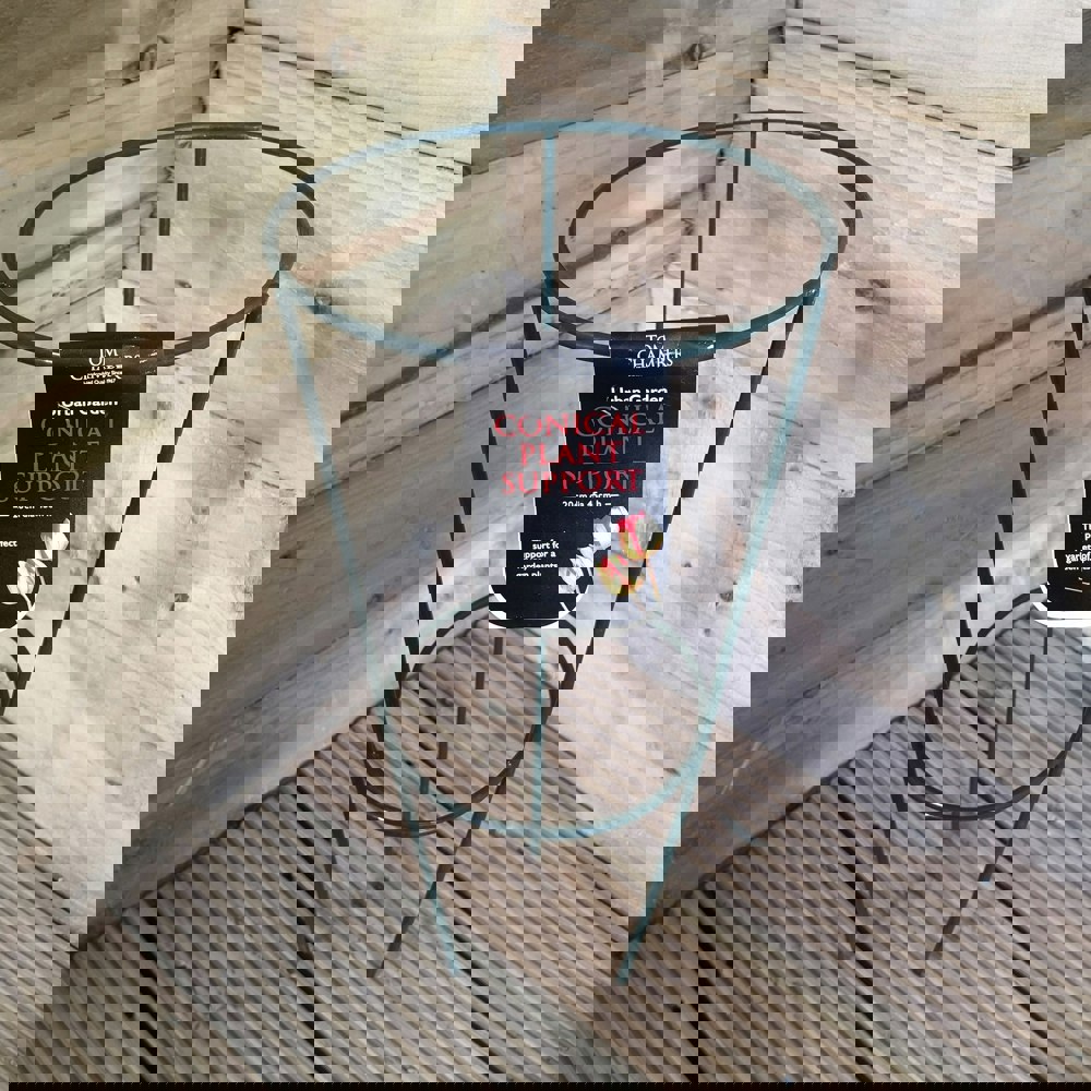 Tom Chambers Urban Green Conical Garden Plant Support | Rackhams