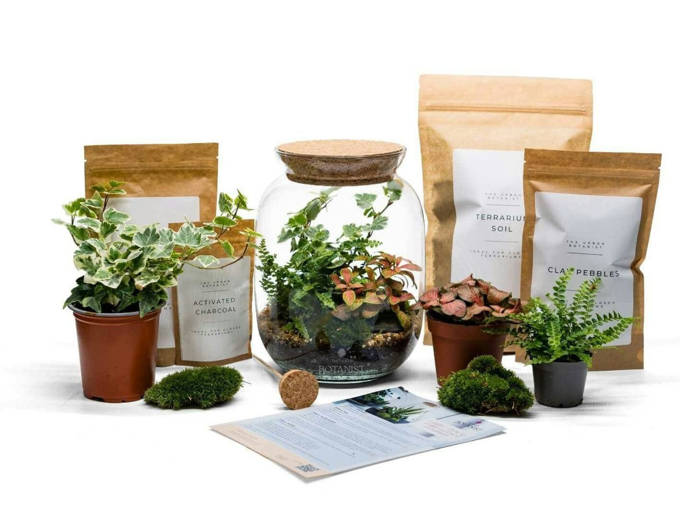 The Urban Botanist DIY Terrarium Kit Holland Park H: | Rackhams