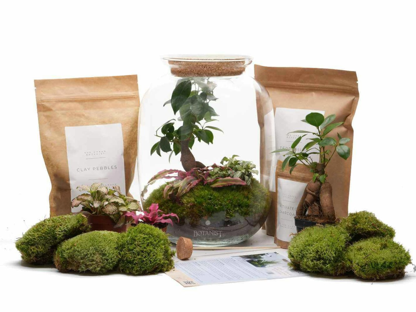 The Urban Botanist DIY Terrarium Kit with Bonsai | Rackhams