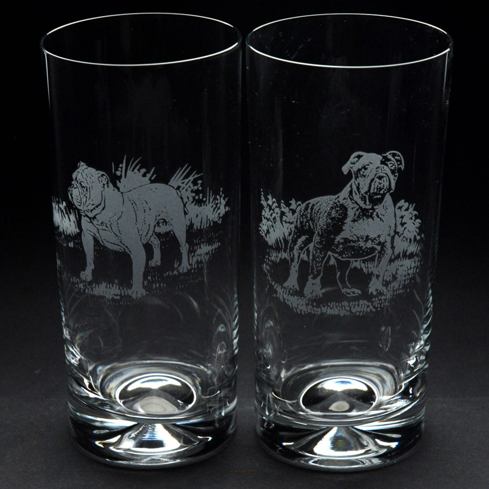 Glyptic Glass Art English Bulldog Dog Highball Glass - | Rackhams