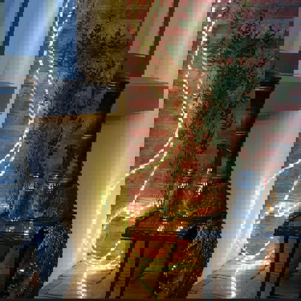 Rope / Tube Lights | Rackhams