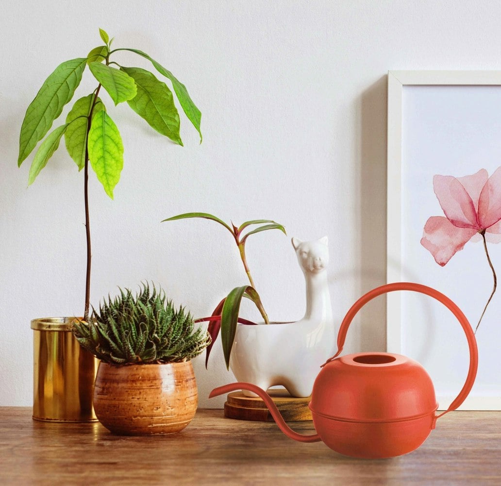 Rozi Red Watering Can | Rackhams