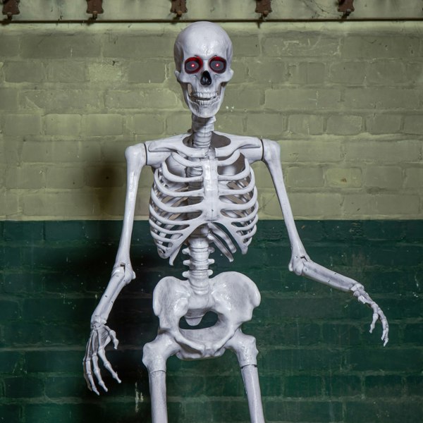Samuel Alexander 5ft (1.5m) Full Body Halloween | Rackhams