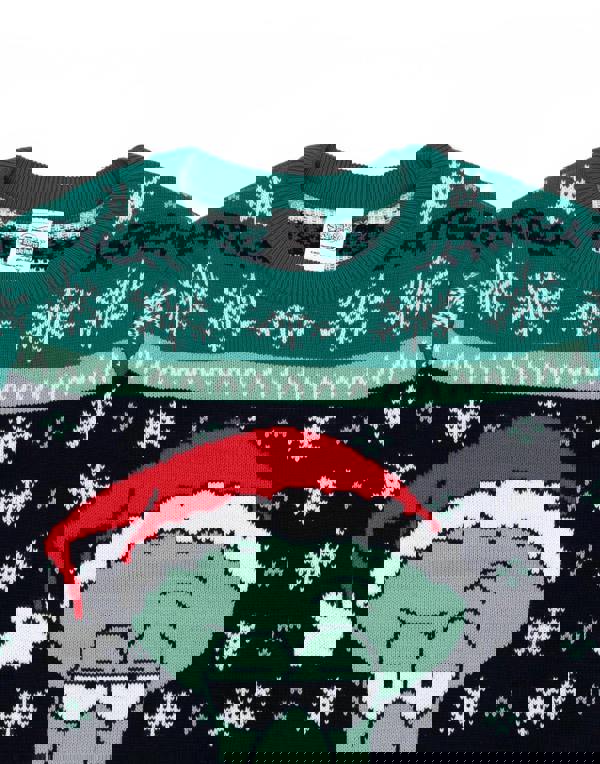 SpongeBob SquarePants Mens Green Squidward Christmas | Rackhams