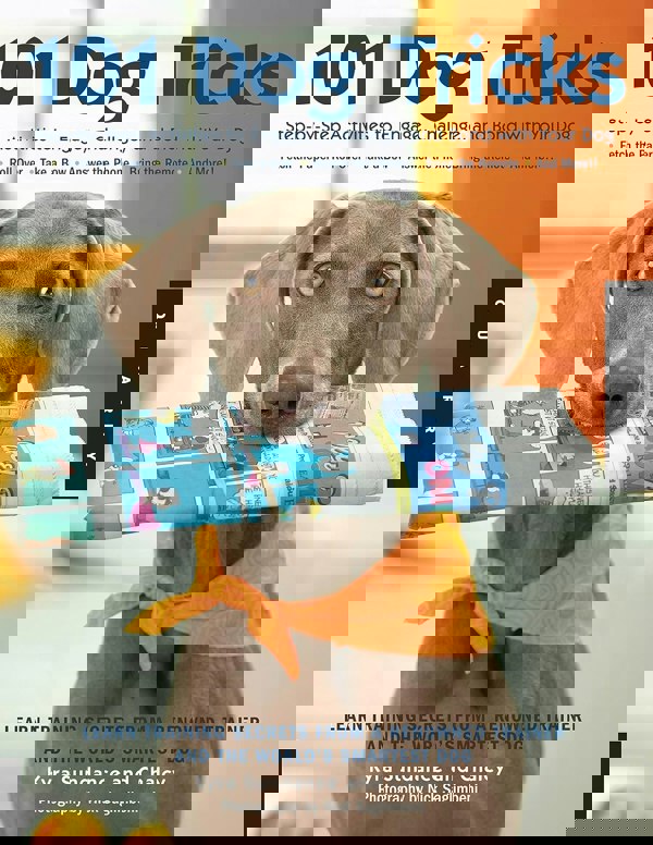 101 Dog Tricks, Doggie Language 2 Books Collection Set | Rackhams