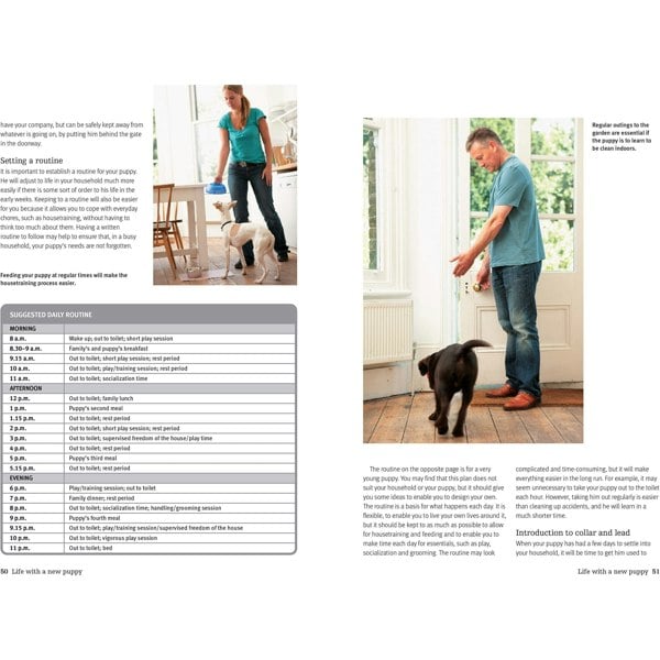 The Perfect Puppy: Take Britain's Number One Puppy | Rackhams