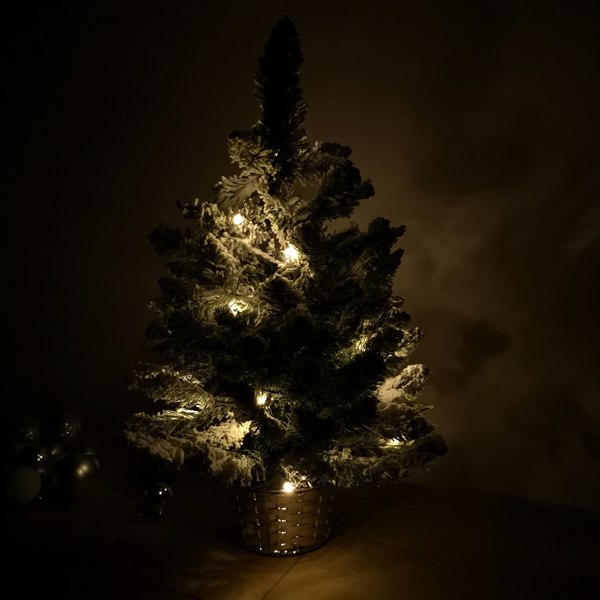 Samuel Alexander 2ft (60cm) Pre Lit Battery LED Snow | Rackhams