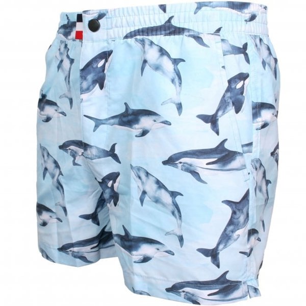 Flipper Print Swim Shorts, Sky Blue | Rackhams