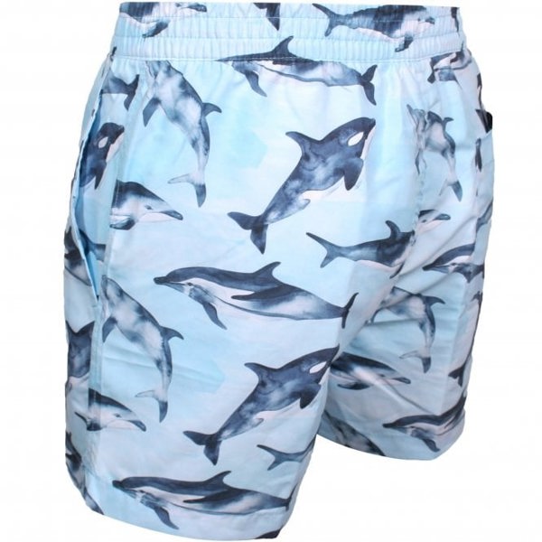 Flipper Print Swim Shorts, Sky Blue | Rackhams