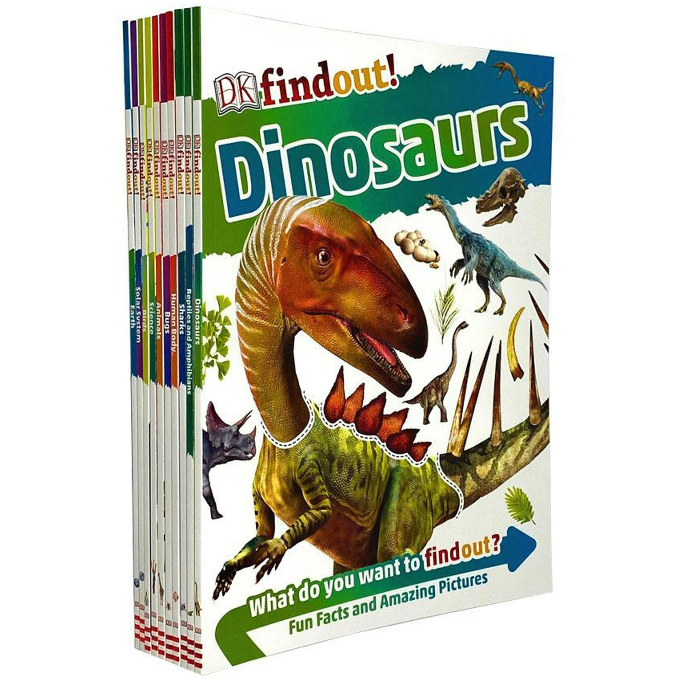 Dk Findout Series With Fun Facts And Amazing Pictures | Rackhams